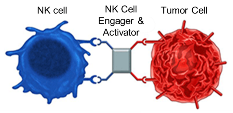 AP-301™ Immune Cell Engager